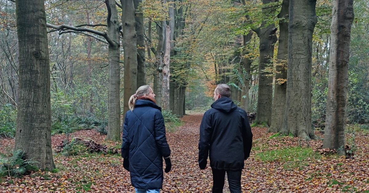 Persoonlijke coaching